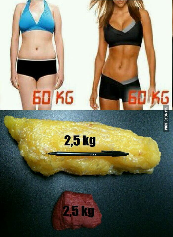 Muscles Are Heavier Than Fat 9GAG Muscles Are Heavier Than Fat 9GAG