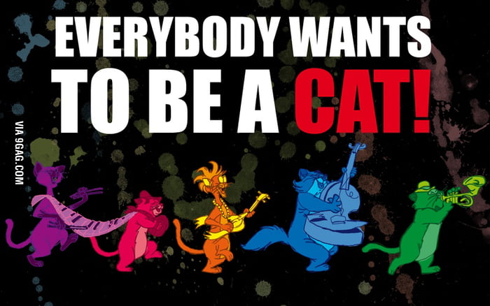 Meow! Jazz+cats= best thing on this world :3 - 9GAG