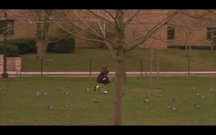 In A Beautiful Mind (2001), the pigeons ignore Charles' niece. - 9GAG
