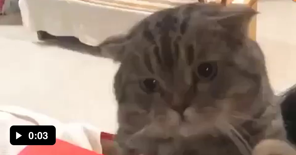 Ma hrt, ma sol - 9GAG