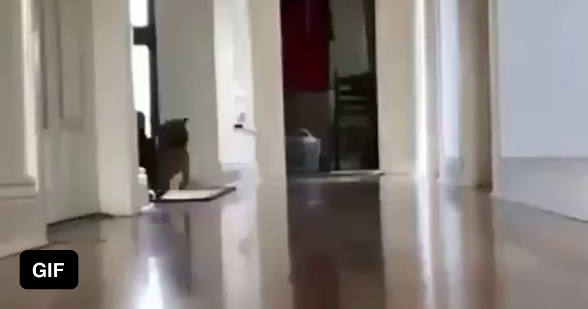 Freshly Waxed Floor 9gag