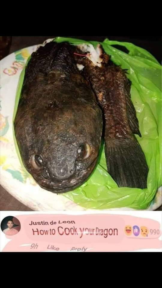 How to cook your dragon - 9GAG