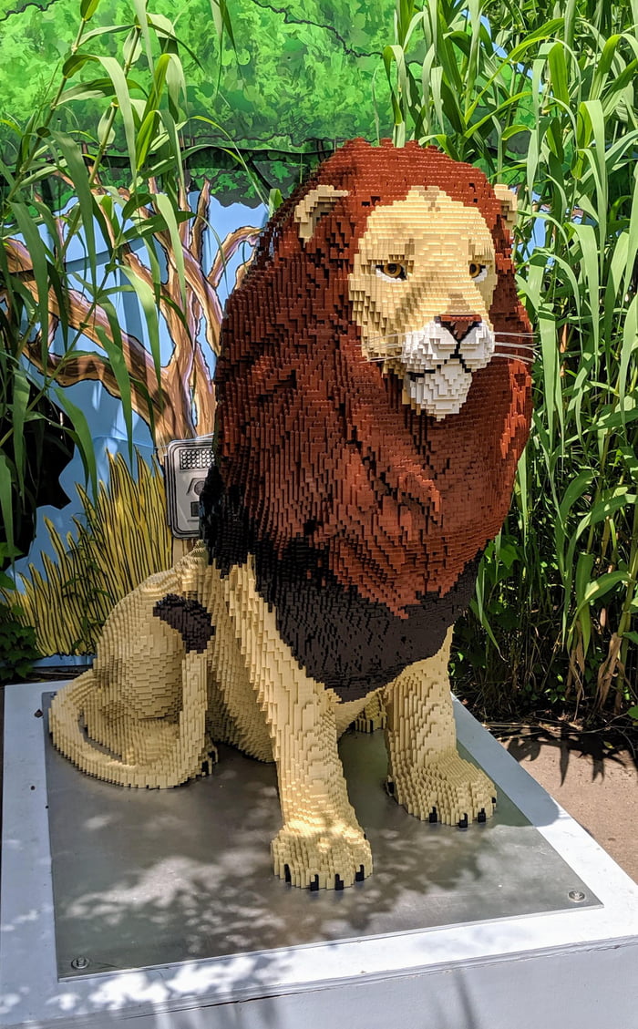 LEGO Lion at the Philadelphia Zoo - 9GAG