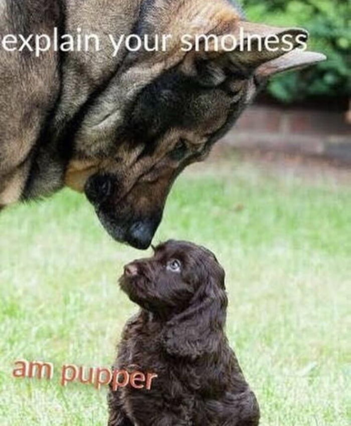 The best types of memes! - 9GAG