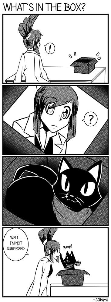 Cat in the box . - 9GAG