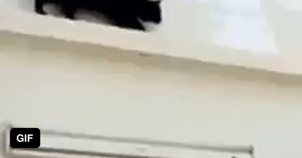 These level of troll - 9GAG