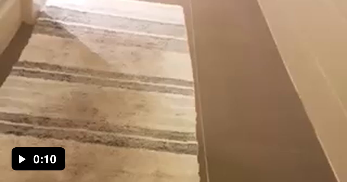 Jurassic FART - 9GAG