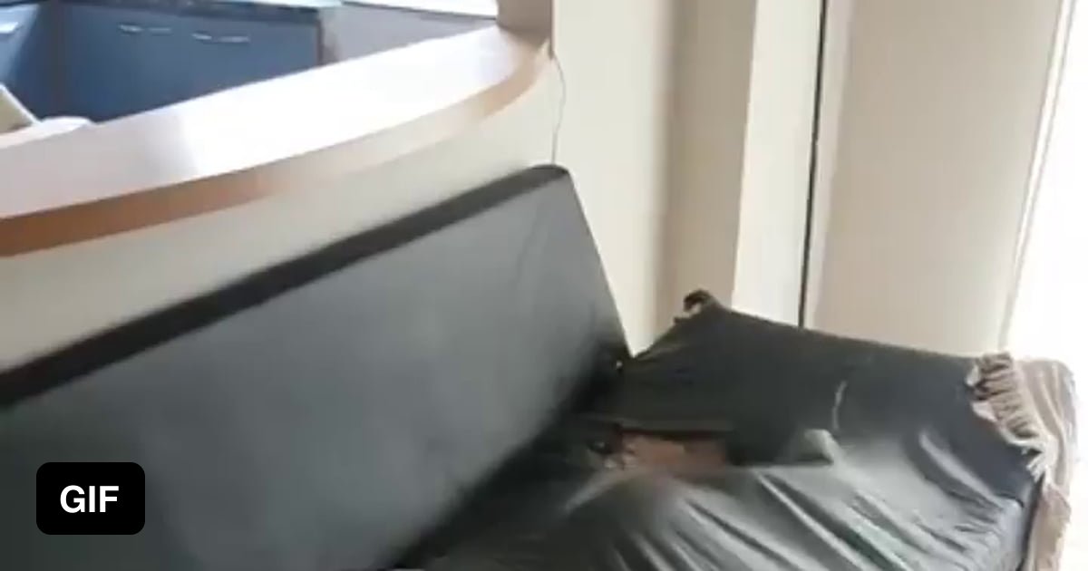 Alright, who destroyed the couch? - 9GAG