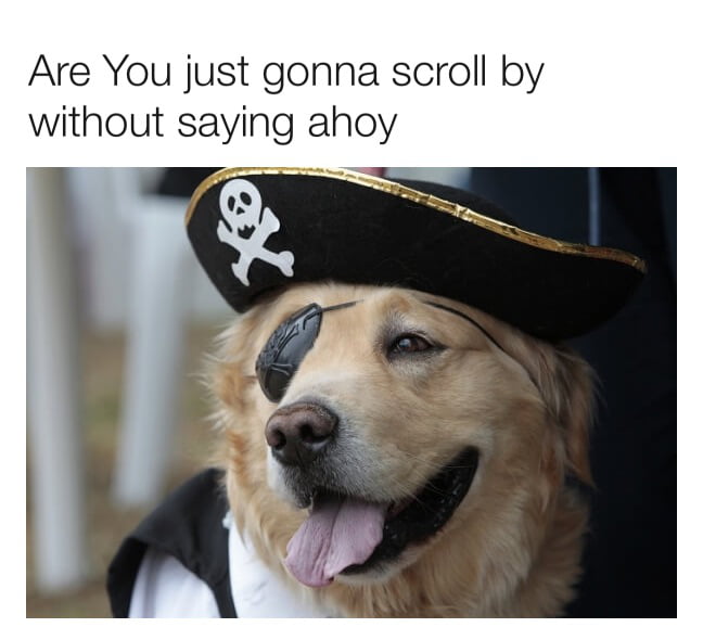 Ahoy stranger - 9GAG