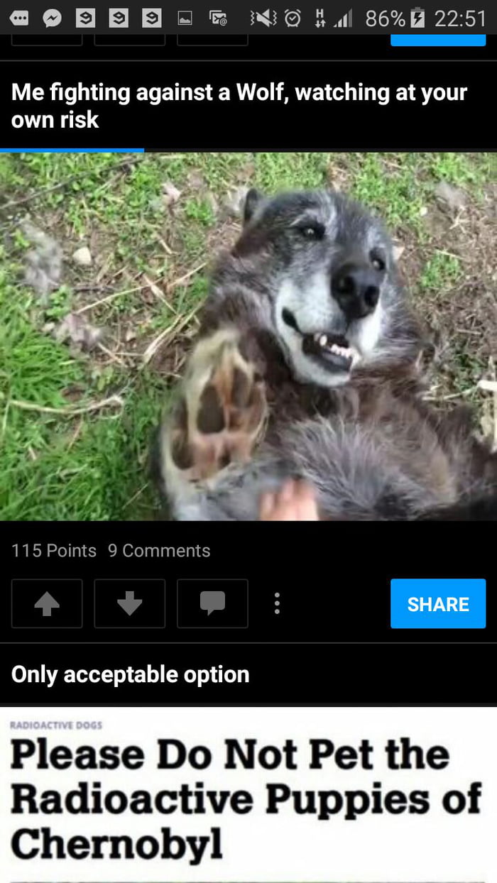 Please do not pet the radioactive puppies of chernobyl - 9GAG
