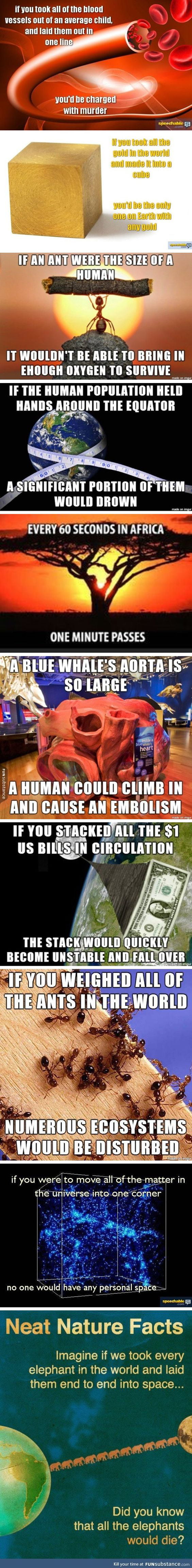 Interesting facts - 9GAG