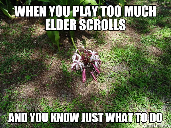 Is this some kind of nirnroot ? - 9GAG