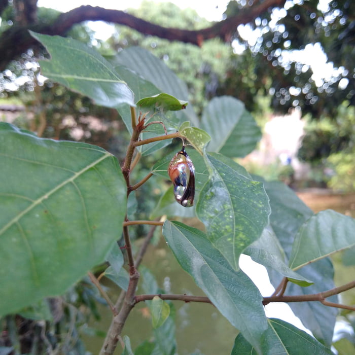 I can fly tomorrow - 9GAG