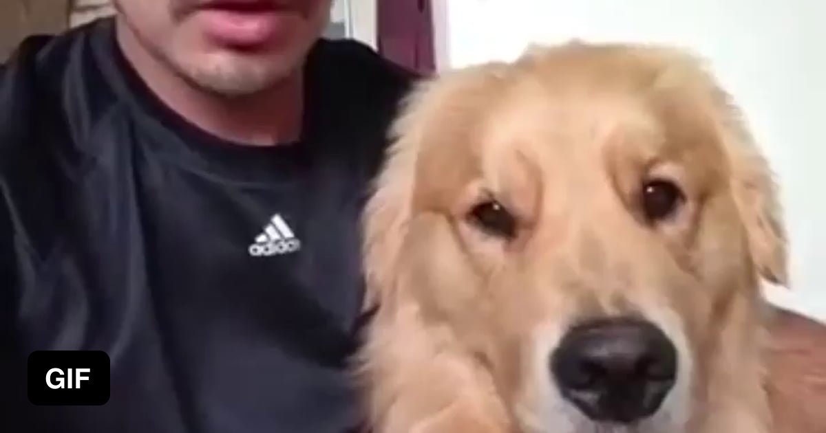 Dog copies man's emotions. - 9GAG