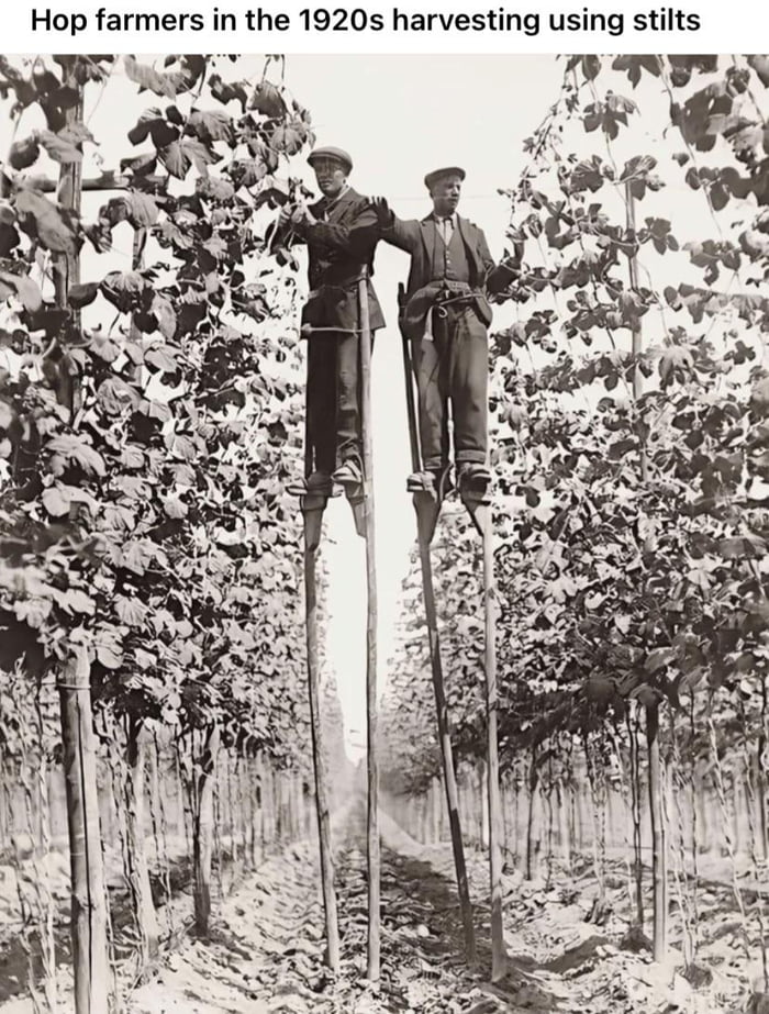 How do they take breaks? - 9GAG