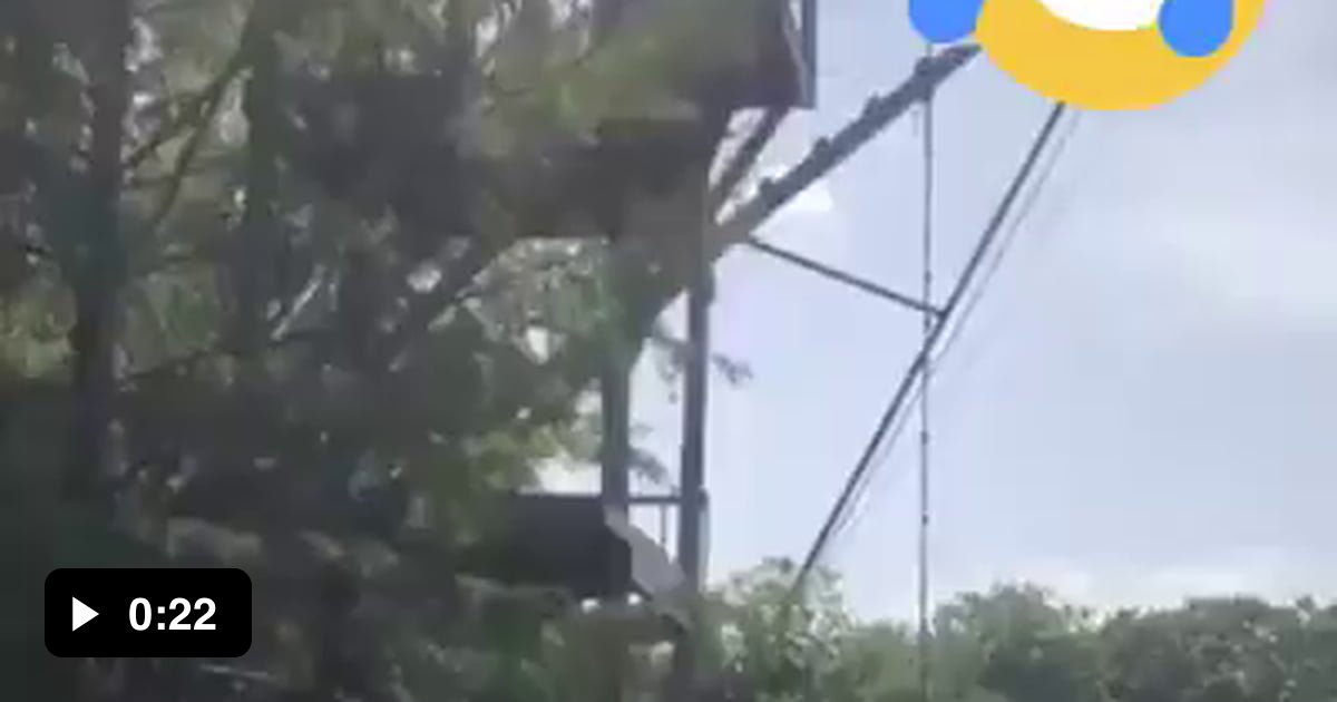 This is pure gold - 9GAG