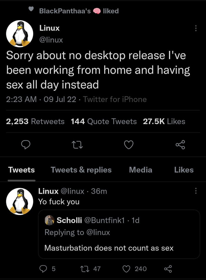 Average Linux User 9GAG