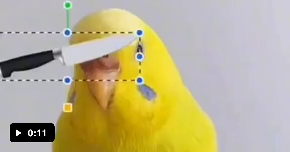 Welcome back to fact or cap 😈 - 9GAG