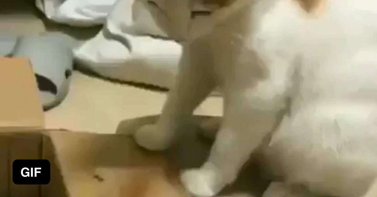Let Me Help You 9gag