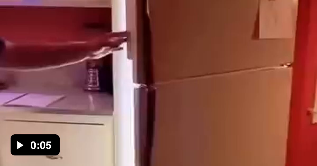 Refrigerator to hell 🤣 - 9GAG