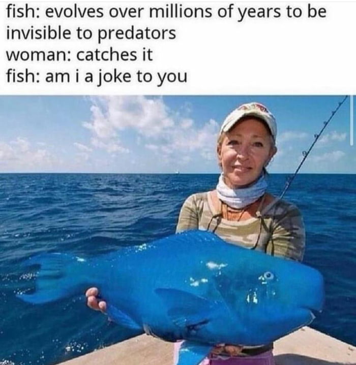 Goddamnit woman - 9GAG