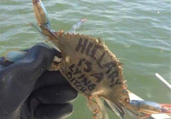 Oh crab of the lake, whats your wisdom? - 9GAG