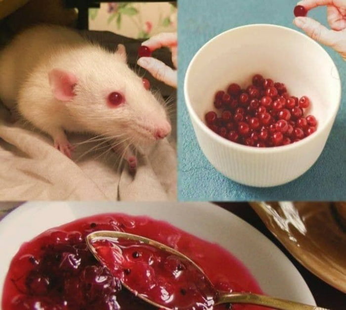 Double cursed. - 9GAG