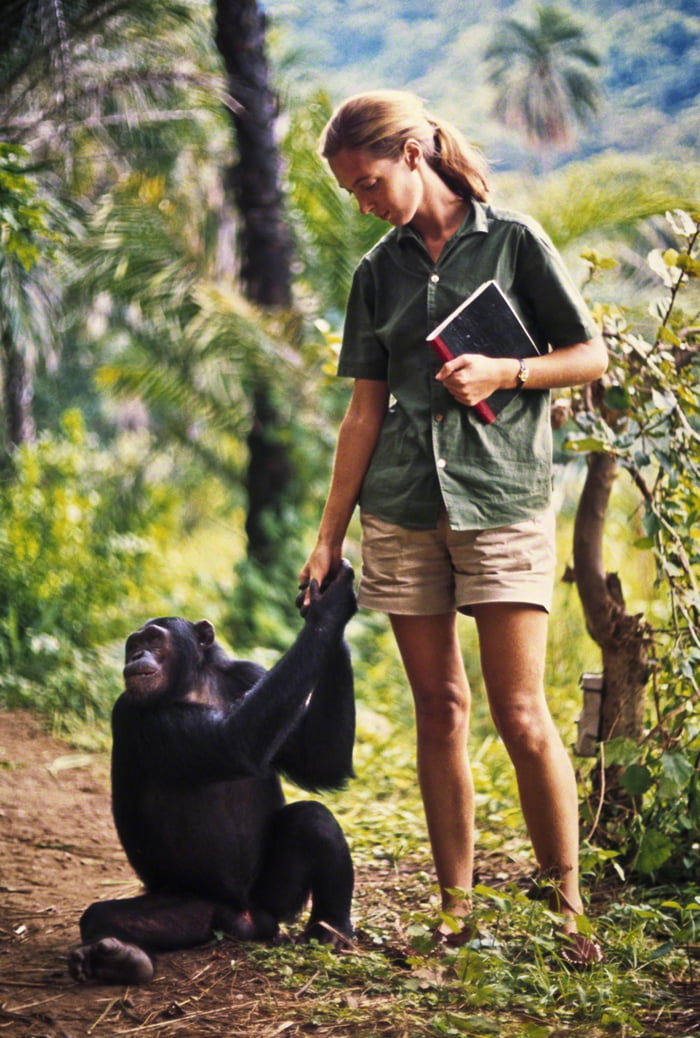 Dr. Jane Goodall with friend (Tanzania, 1960s) - 9GAG