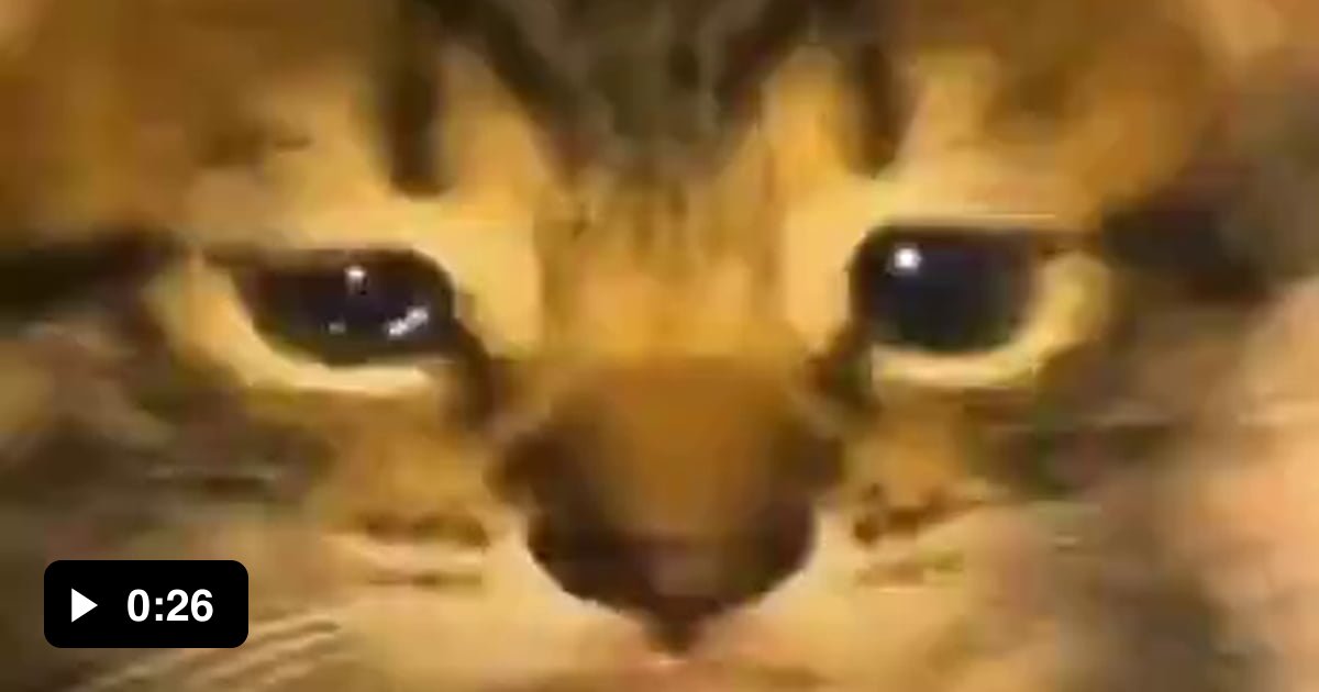 Sad meow - 9GAG