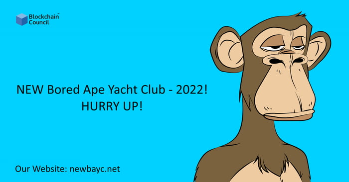 LOL BAYC ANNOUNCED A NEW NFT COLLECTION - 9GAG