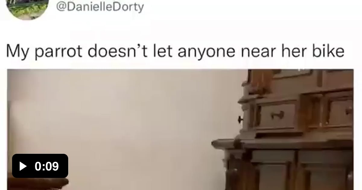 Dat dominance assertion though - 9GAG