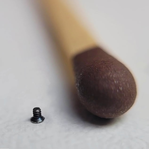 The size of a watch screw compared to a match head. - 9GAG