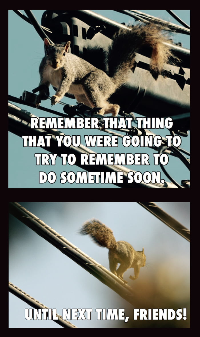 A reminder from ADHD-Squirrel. - 9GAG