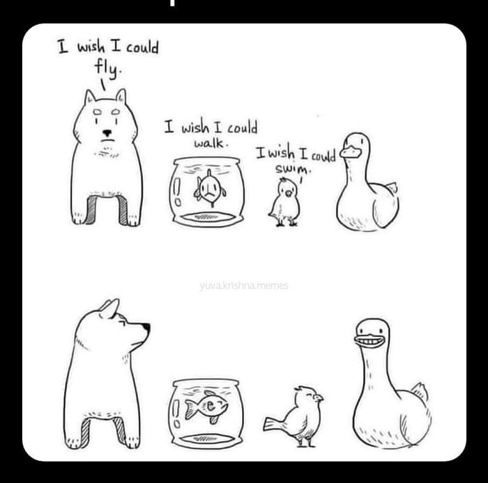 Duck is full stack - 9GAG