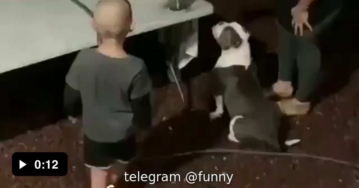 Doggo going zoooooom - 9GAG