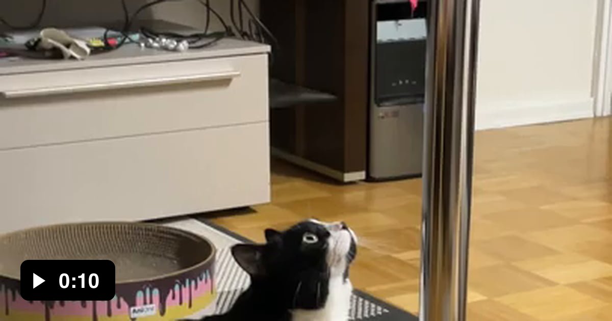 She works hard for the money - Does pole dancing count? - 9GAG