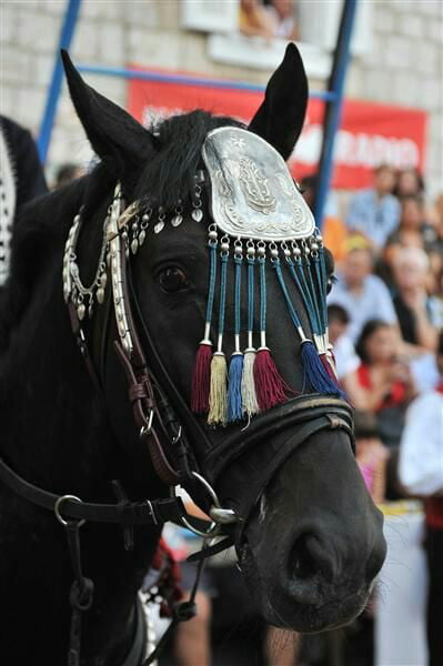 Another one, Alkarski konj, Sinj Hrvatska - 9GAG