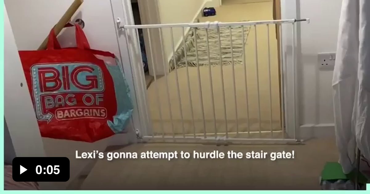 I'll just leap over this little gate.. - 9GAG