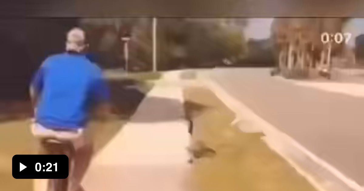 Funniest duck fail - 9GAG