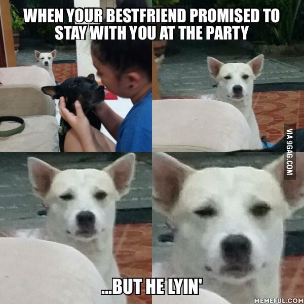 Go to the party, they said. it'll be fun, they said - 9GAG