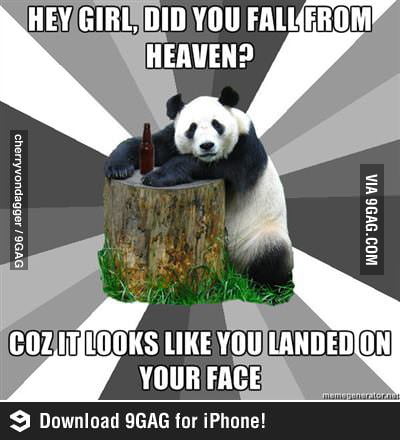 Did you fall from heaven? - 9GAG