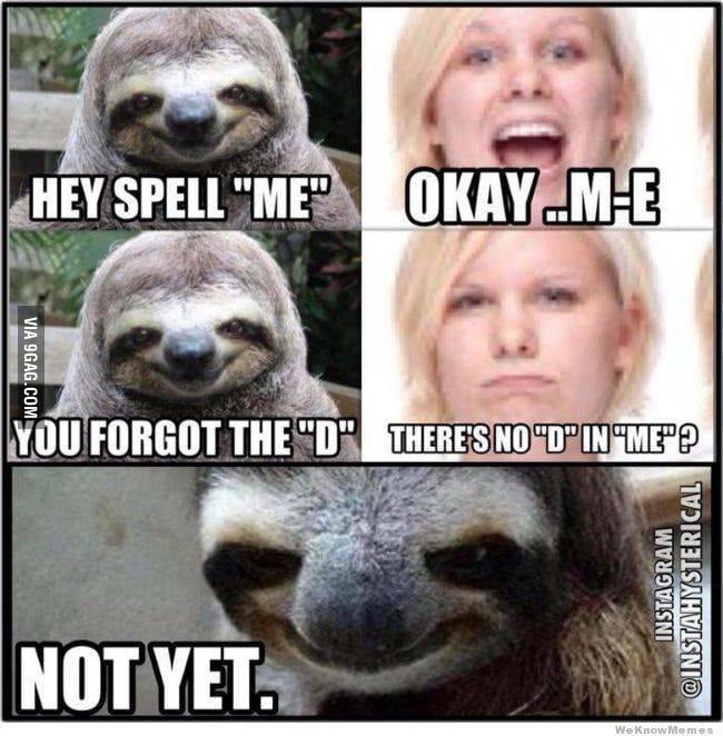 Sloths... - 9GAG