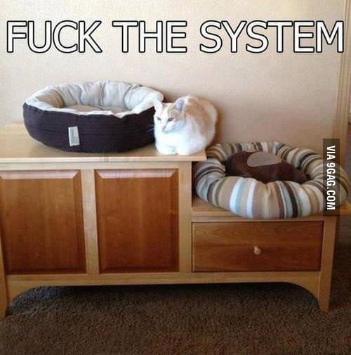 The System - 9GAG