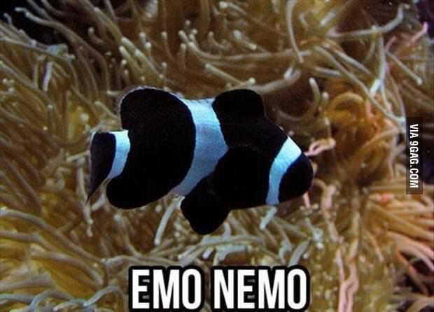 Emo Nemo! - 9GAG