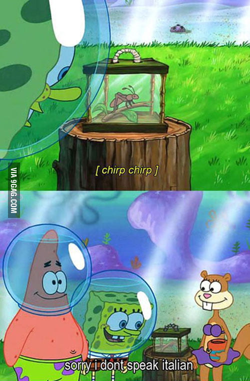 Oh Spongebob - 9GAG