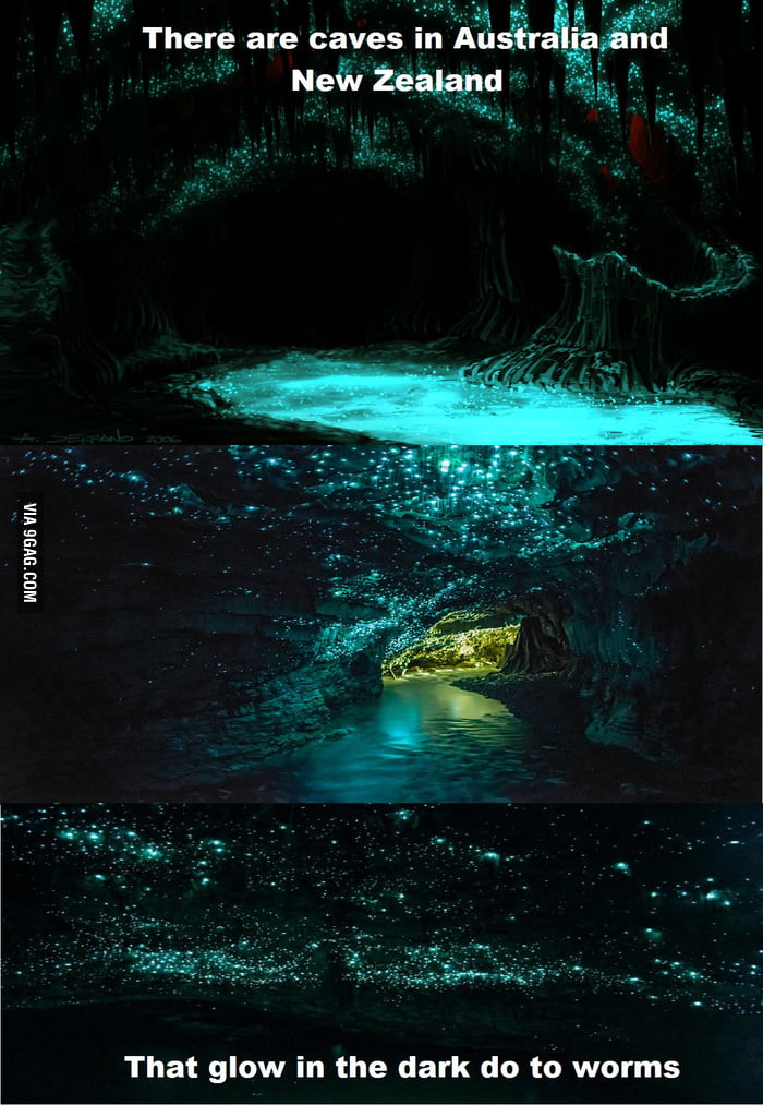 Glow in the dark caves! - 9GAG