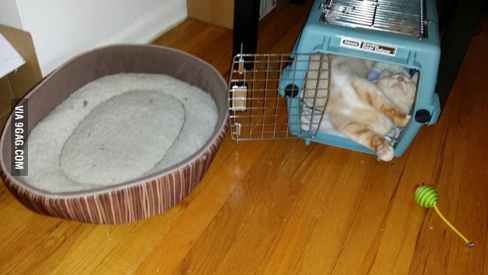 Why did I even bother - 9GAG