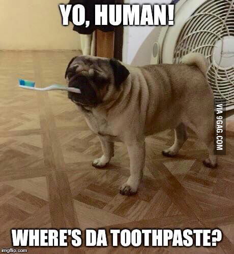 Yo, Human! - 9GAG