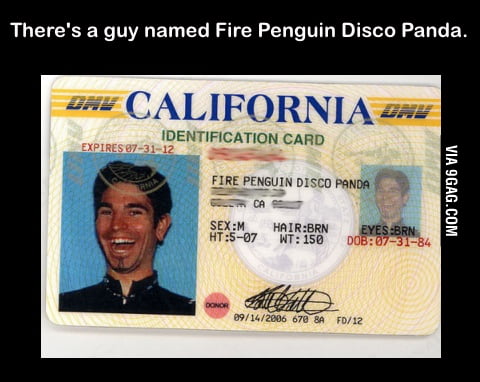 There's a guy named Fire Penguin Disco Panda - 9GAG