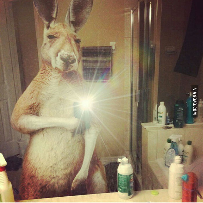 Best selfie ever! 📷 - 9GAG